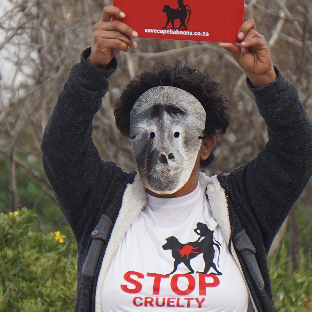 Baboon Mask Limited Edition - Save Cape Baboons